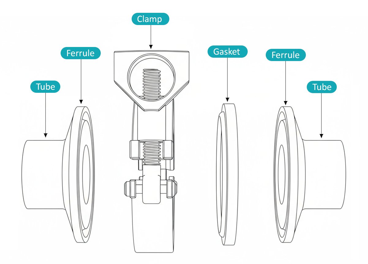 Tri Clamp Size & Dimensions Guide